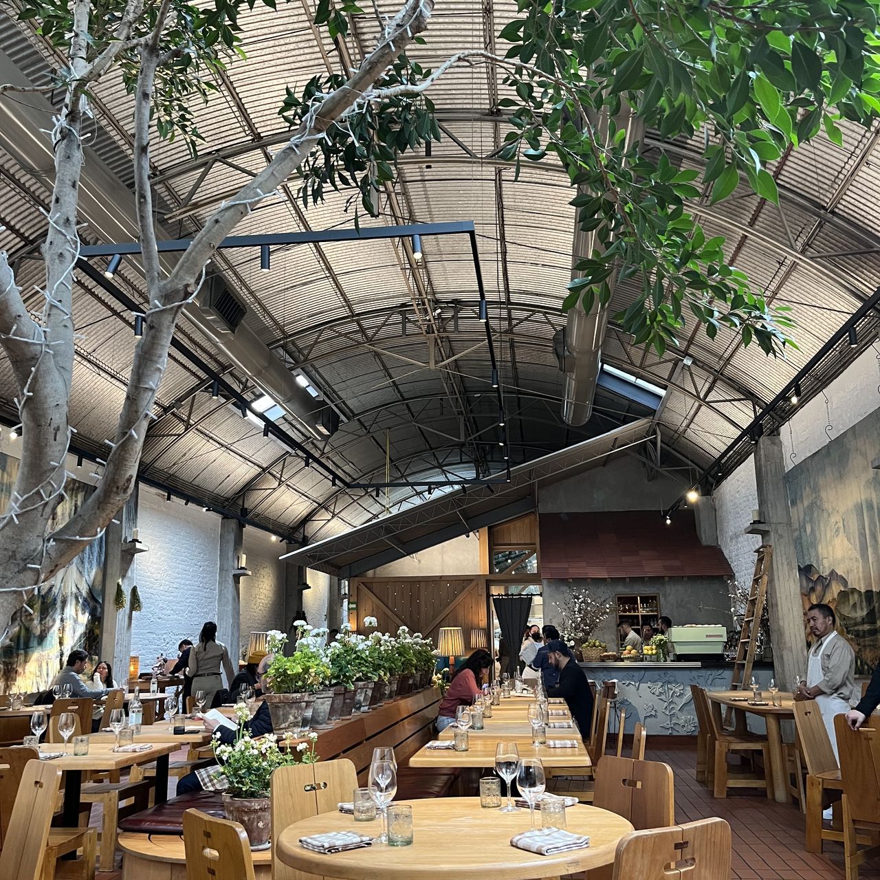 Maximo Bistrot | Zoom Birds