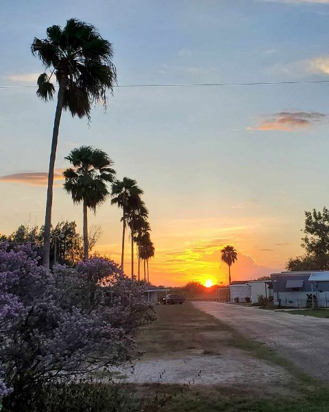 Mission, Texas | Zoom Birds